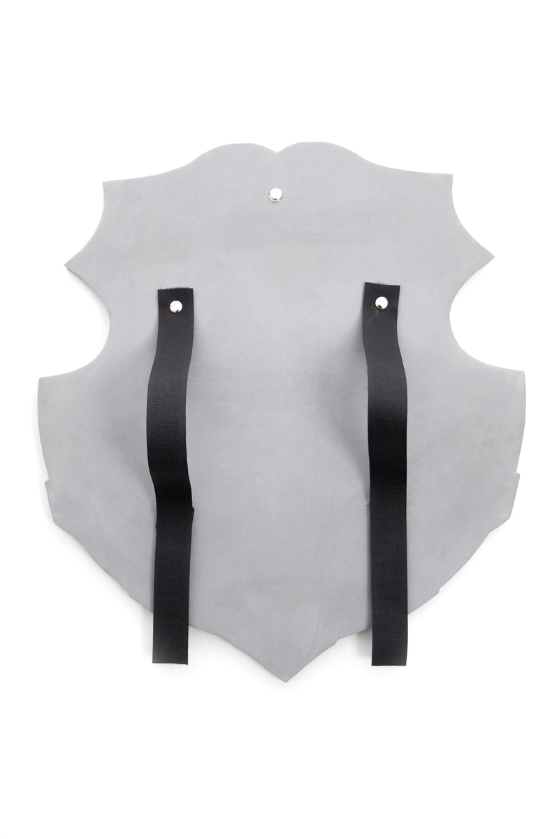 Princess Shield – Little Adventures